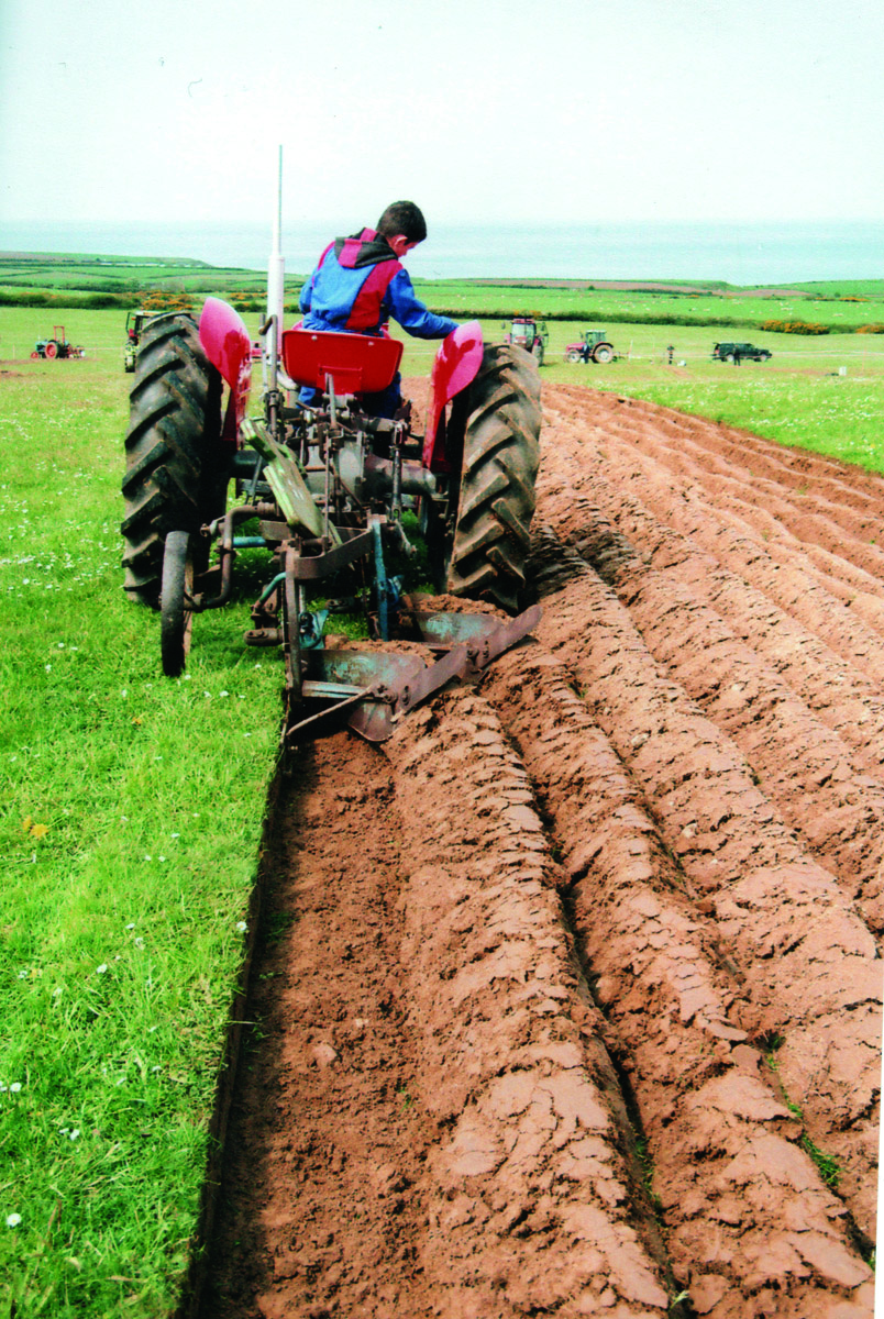 Little Red Massey Ferguson Dream Machine - Farm Collector